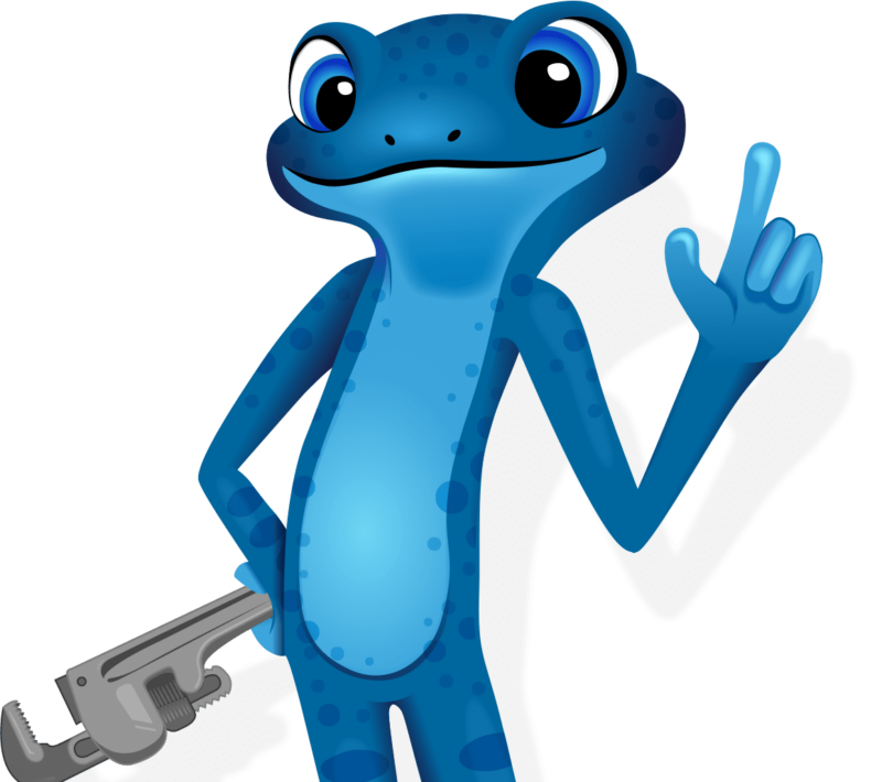 Connecticut Plumber | bluefrog Plumbing + Drain | Central CT